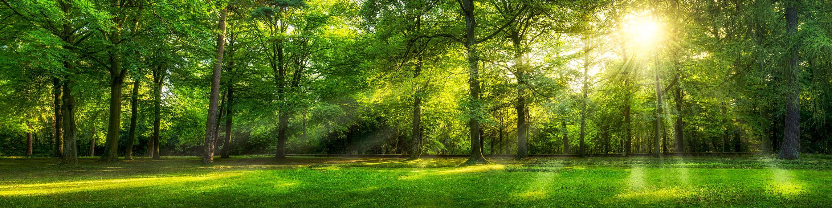 Crowe Bridge Park | Municipality of Trent Hills